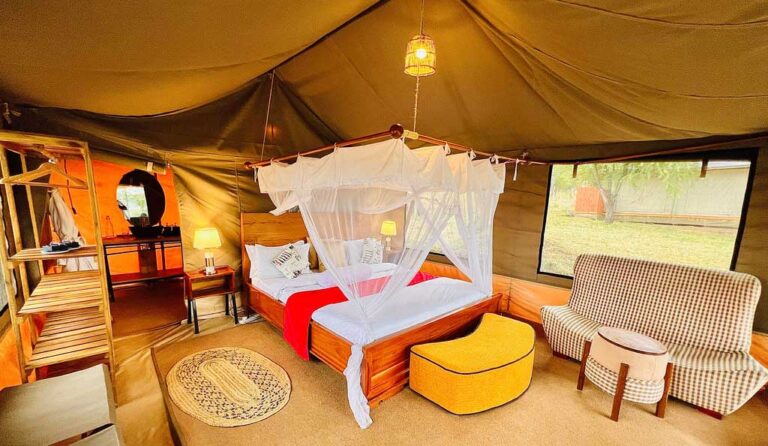 Golden Safari Camps